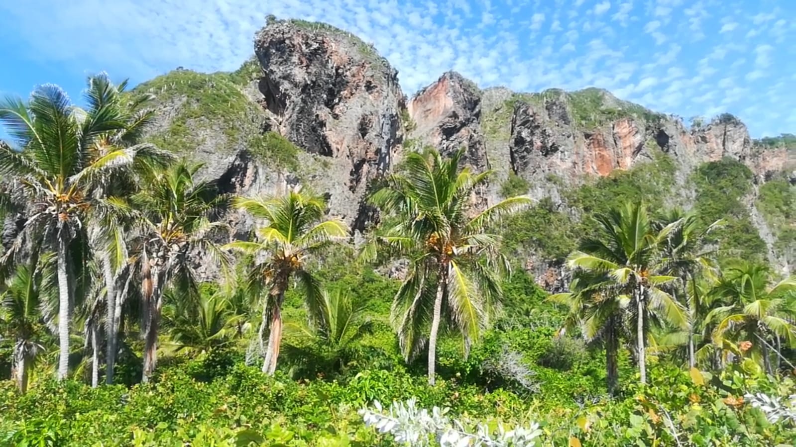 El paraíso está en Las Galeras (República Dominicana) - Ideas on Tour ...